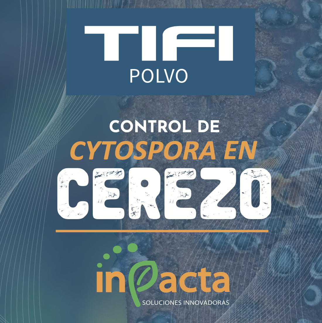 TIFI Polvo de In‑Pacta: defensa biológica reforzada contra enfermedades de madera y botritis ...